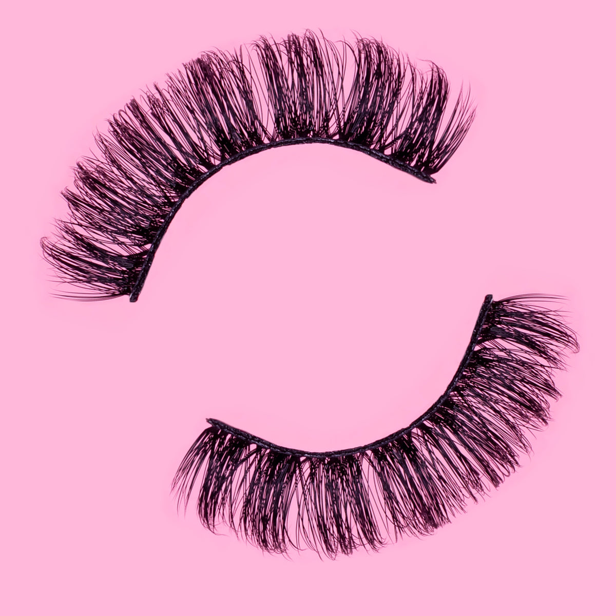 Unicorn Cosmetics™ | OUR BRUSHES BROKE THE INTERNET